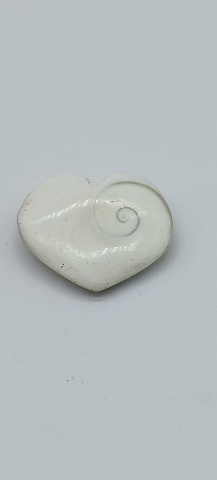 Find out what is beneficial of Operculum Shell from Crystal Wellness